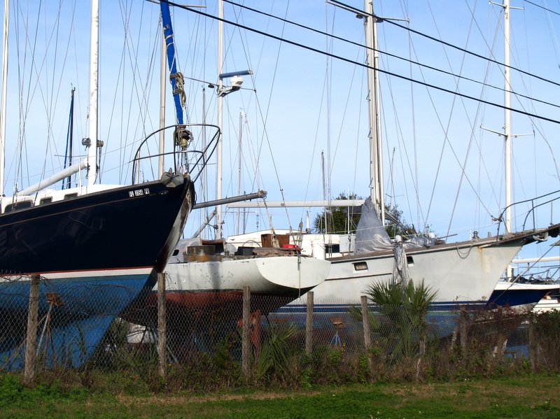 Eddie Vickers Park for Sunday, Jan. 11 | St. Augustine Anonymous ...